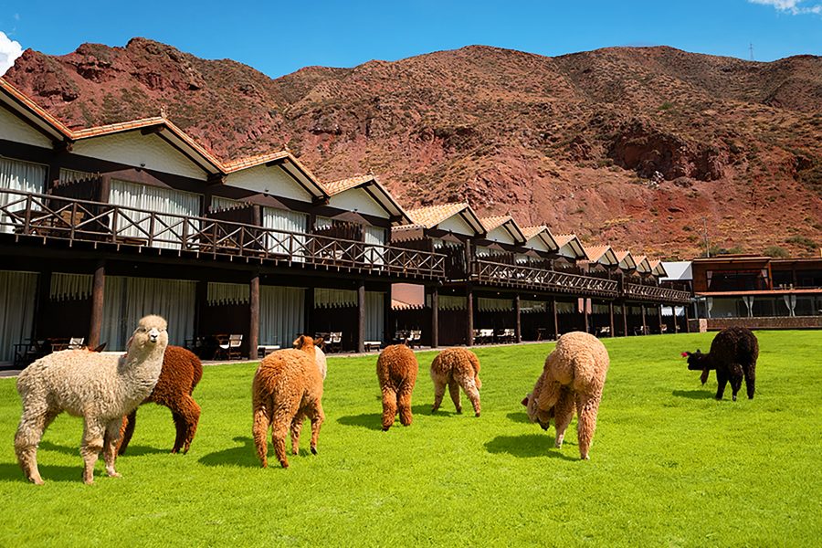 Home - Blog Rustica Hoteles